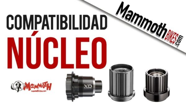 Guía de Compatibilidad de Cassettes y Piñones para Bicicletas ...